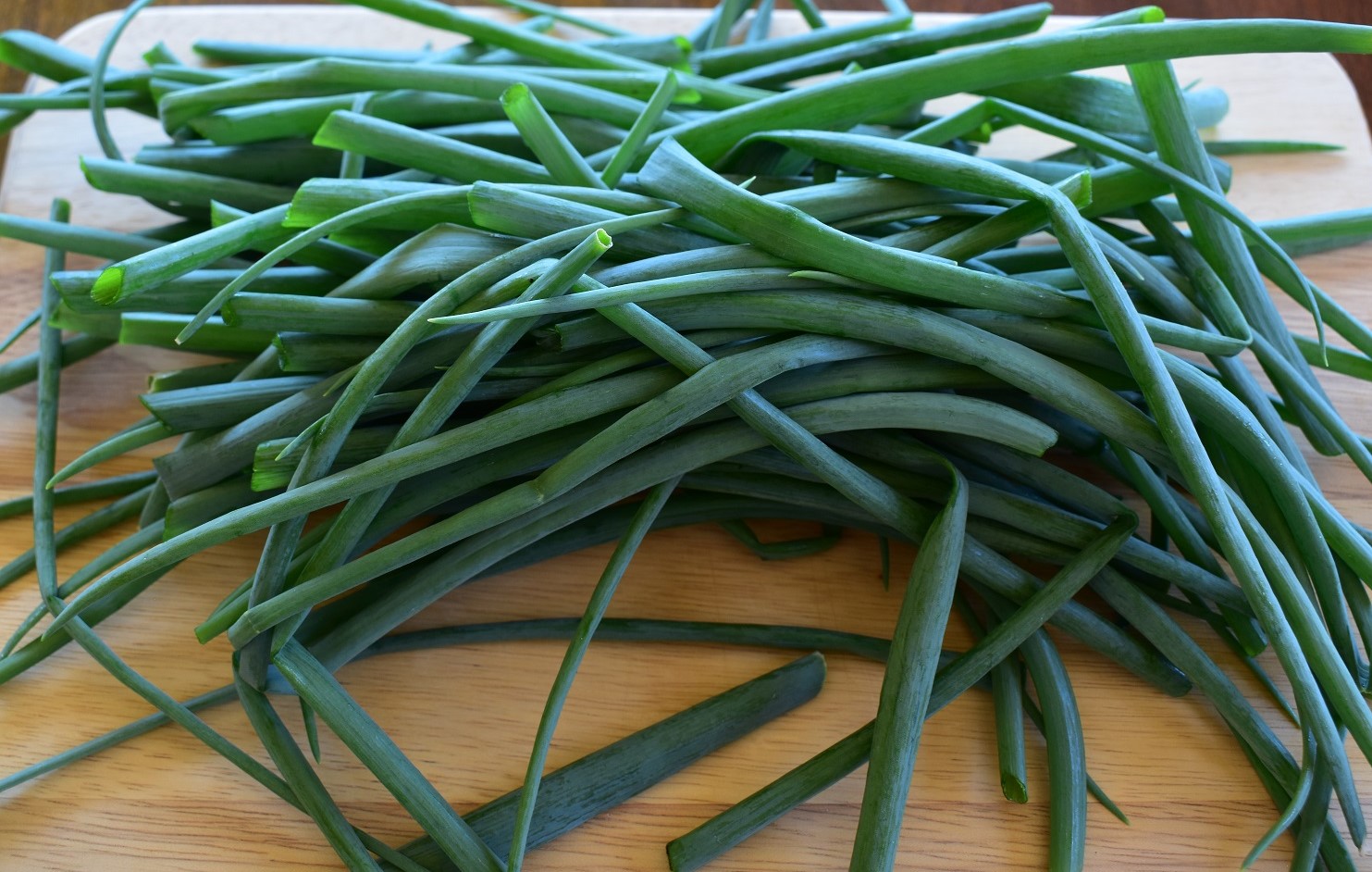 Onion Tops | Silver Maple Farm, LLC